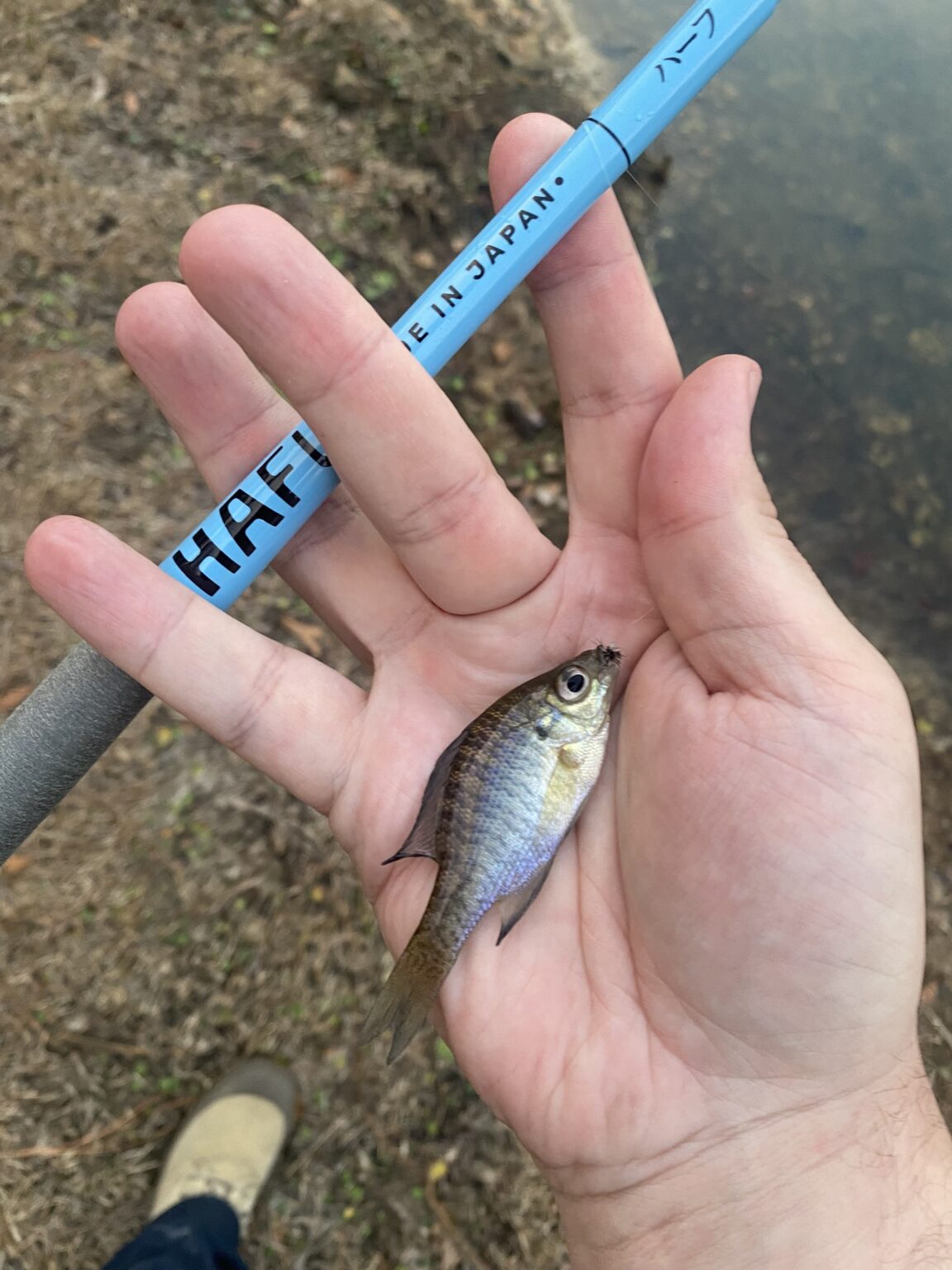 Home - Microfishing.org